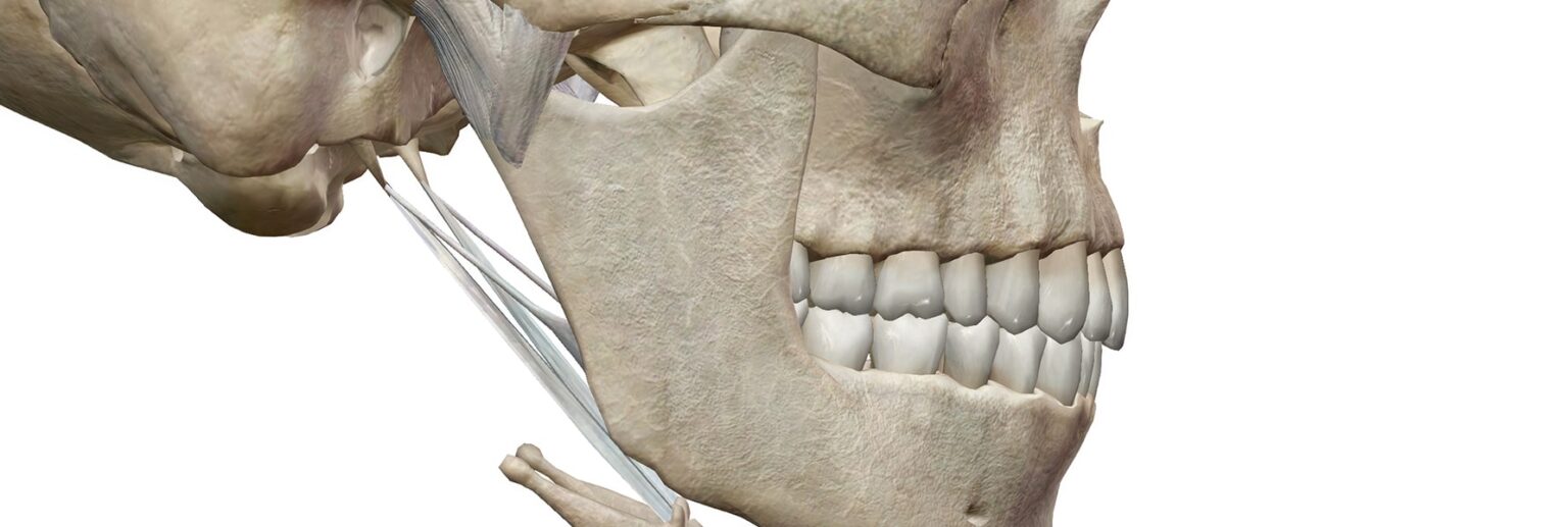Jaw Bone Health - dental implant solutions
